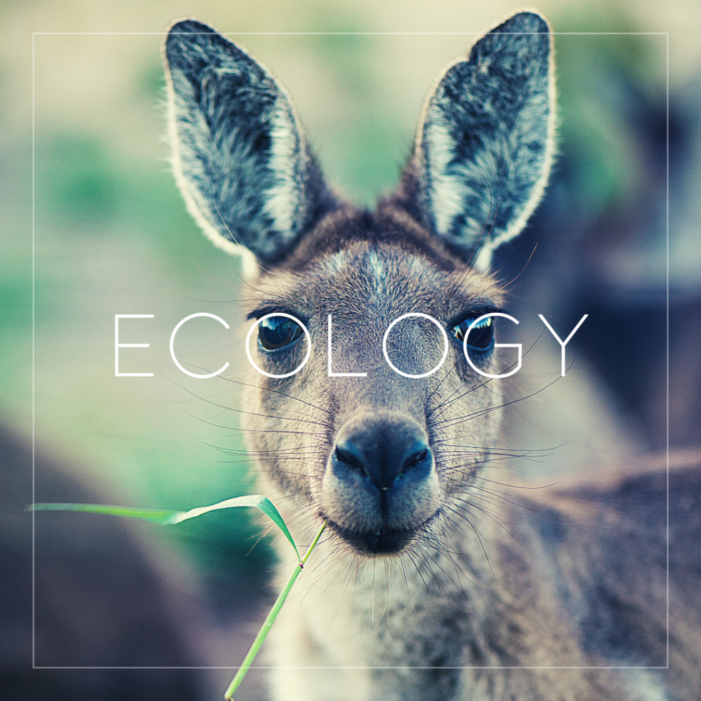 Ecology - The Origins Earth - Media
