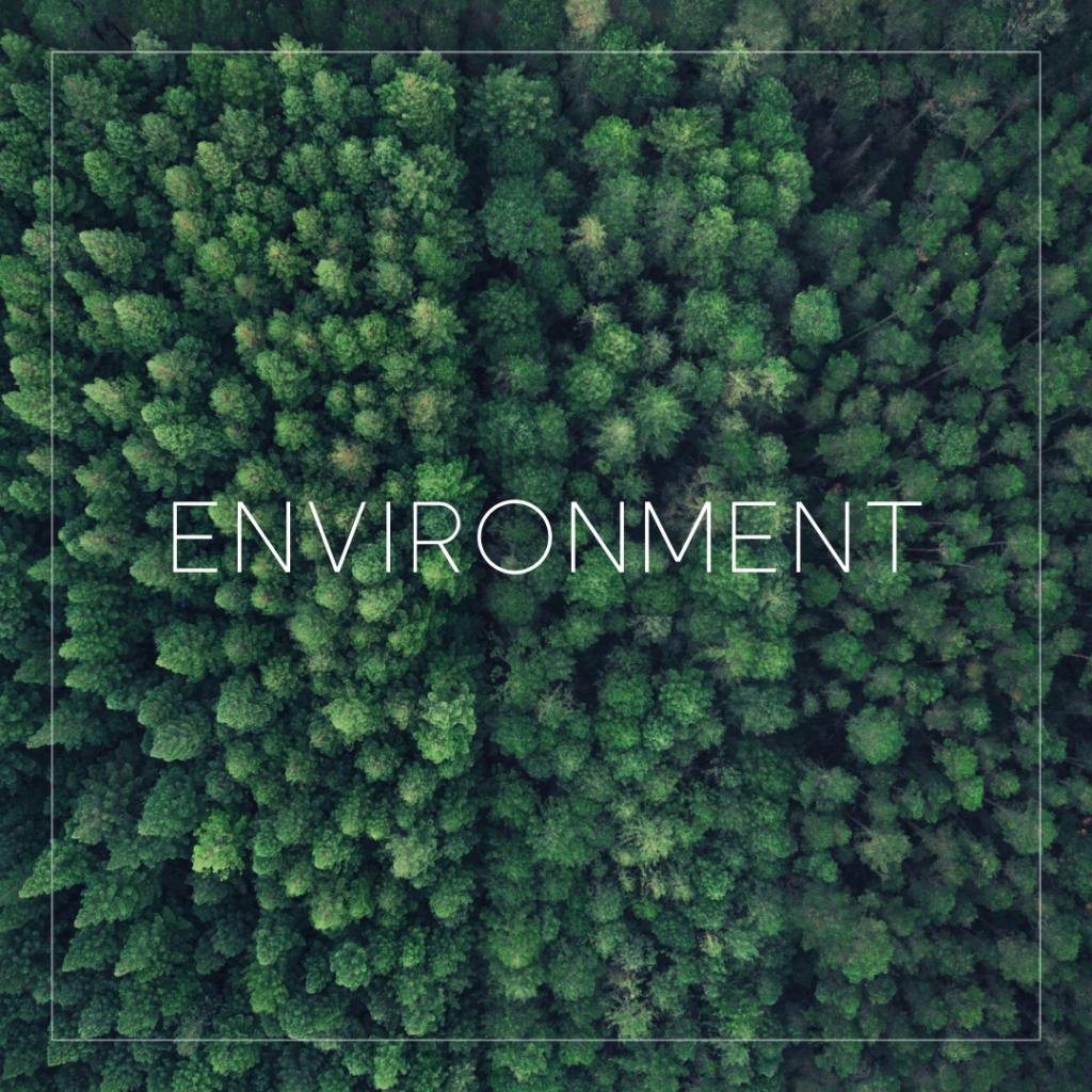 Environment - The Origins Earth - Media