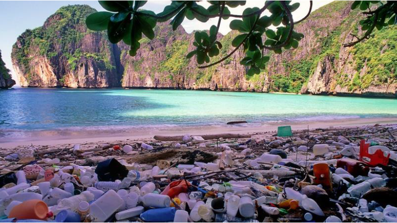 Maya Bay Thailand - The Origins Earth - Media