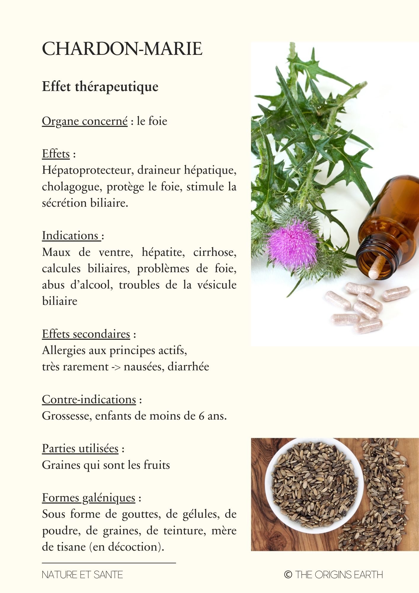 Chardon-Marie - The Origins Earth - Media