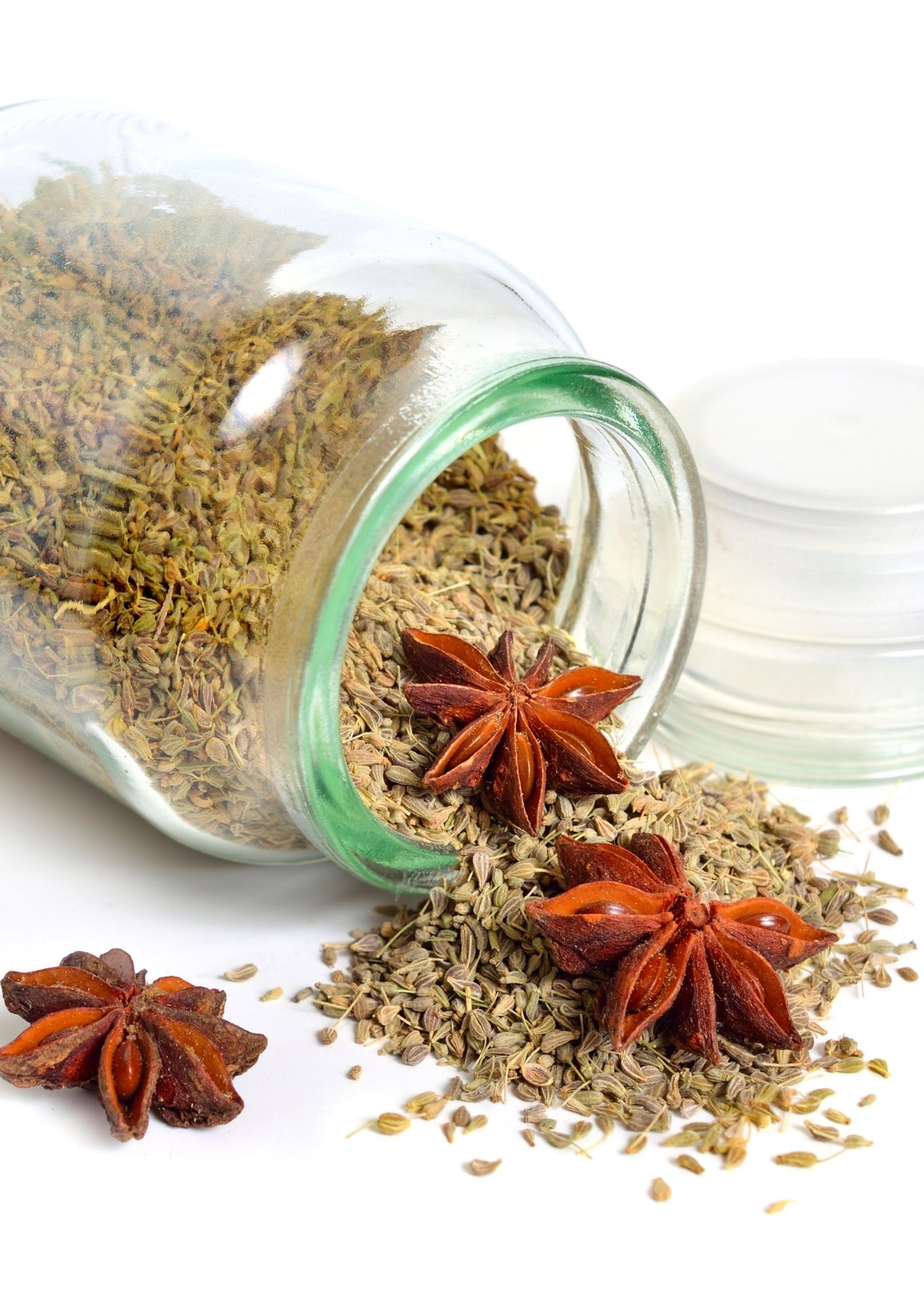 Green anise - The Origins Earth - Media