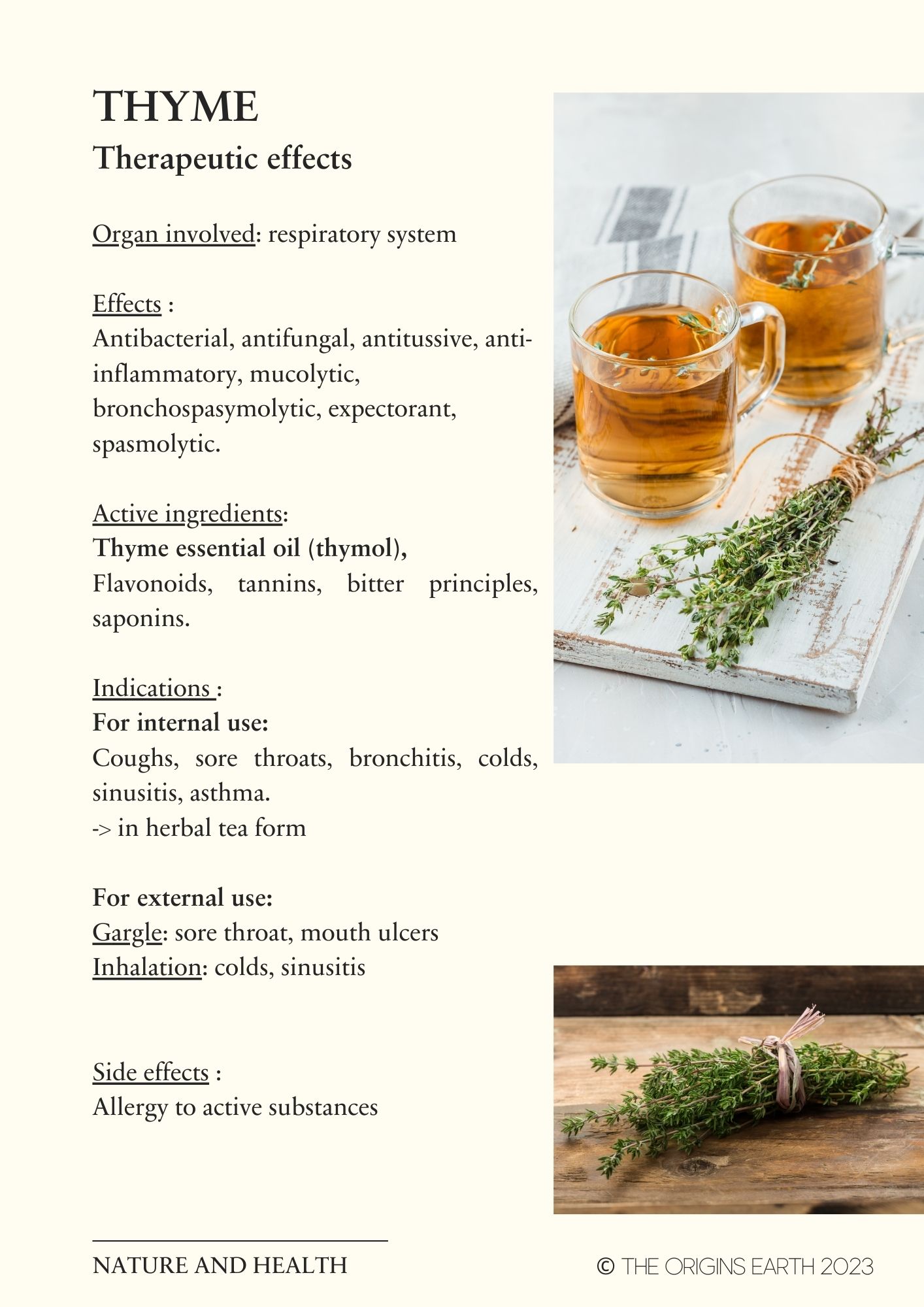Thyme - The Origins Earth - Media