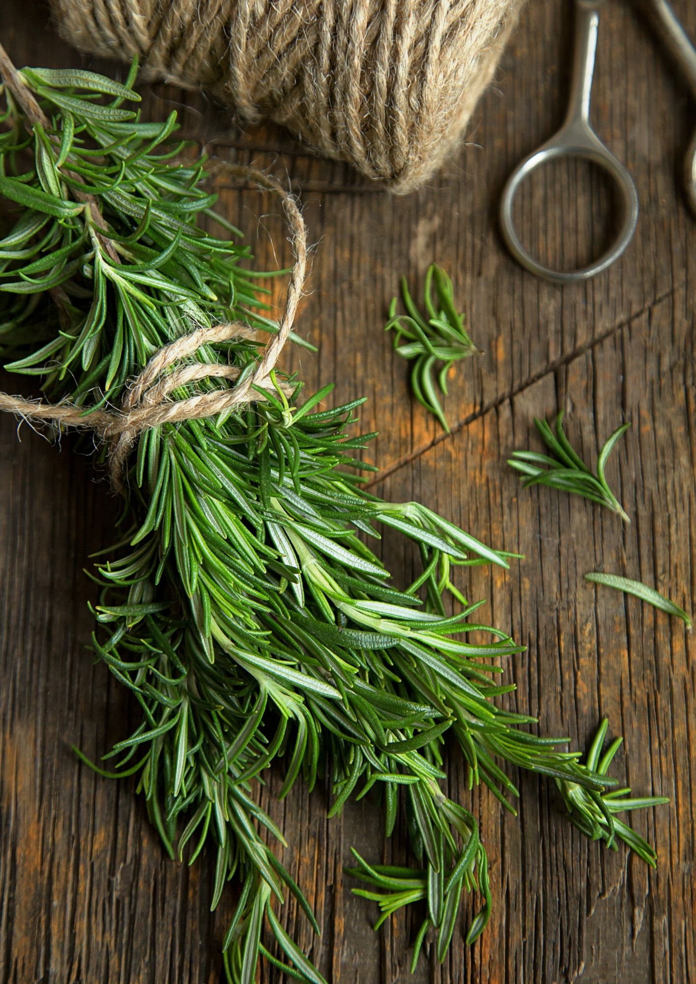 Romarin - The Origins Earth - Media